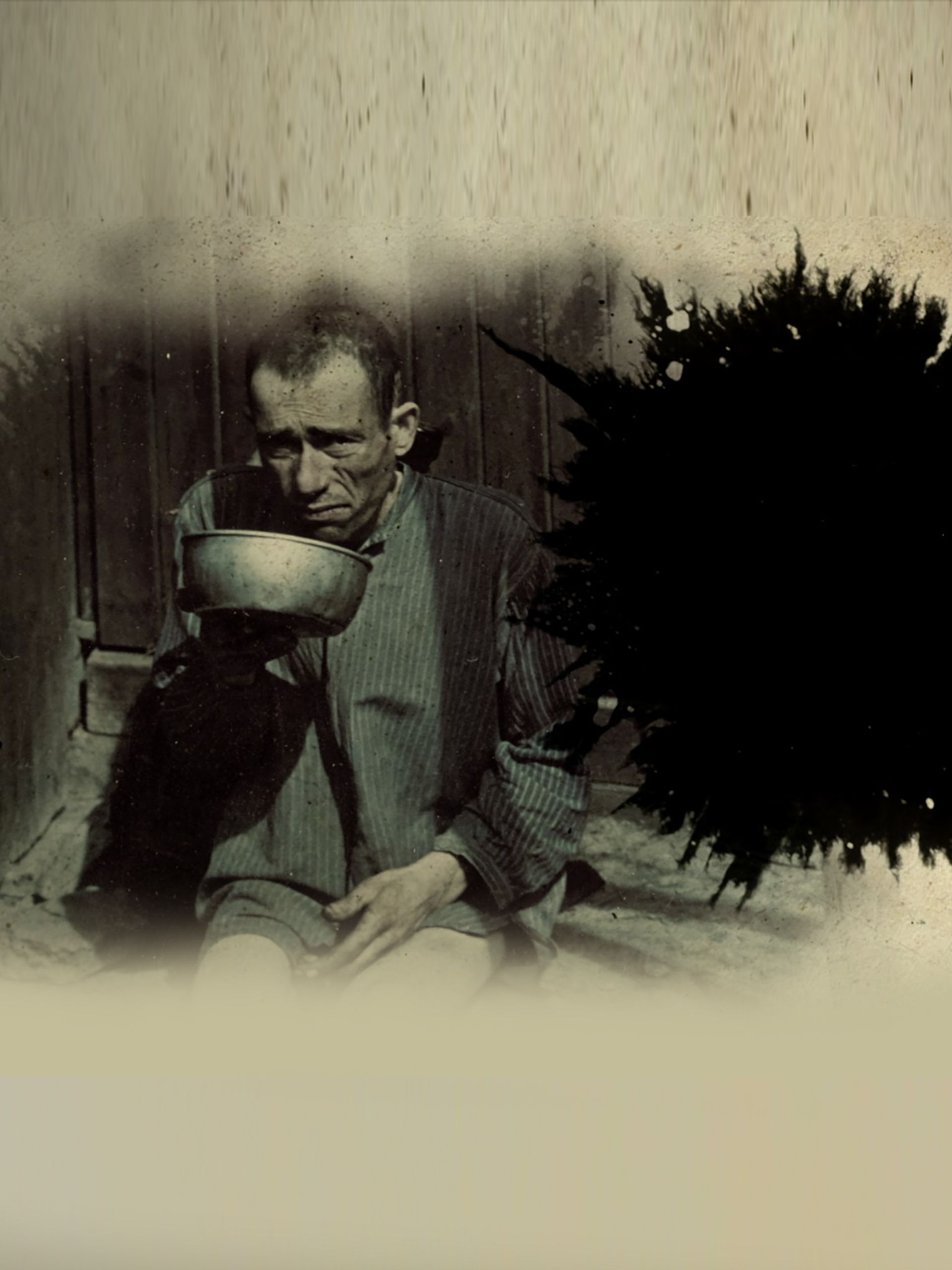 Prime Video: Inside Hitler's Killing Machine: The Nazi Camps - An ...