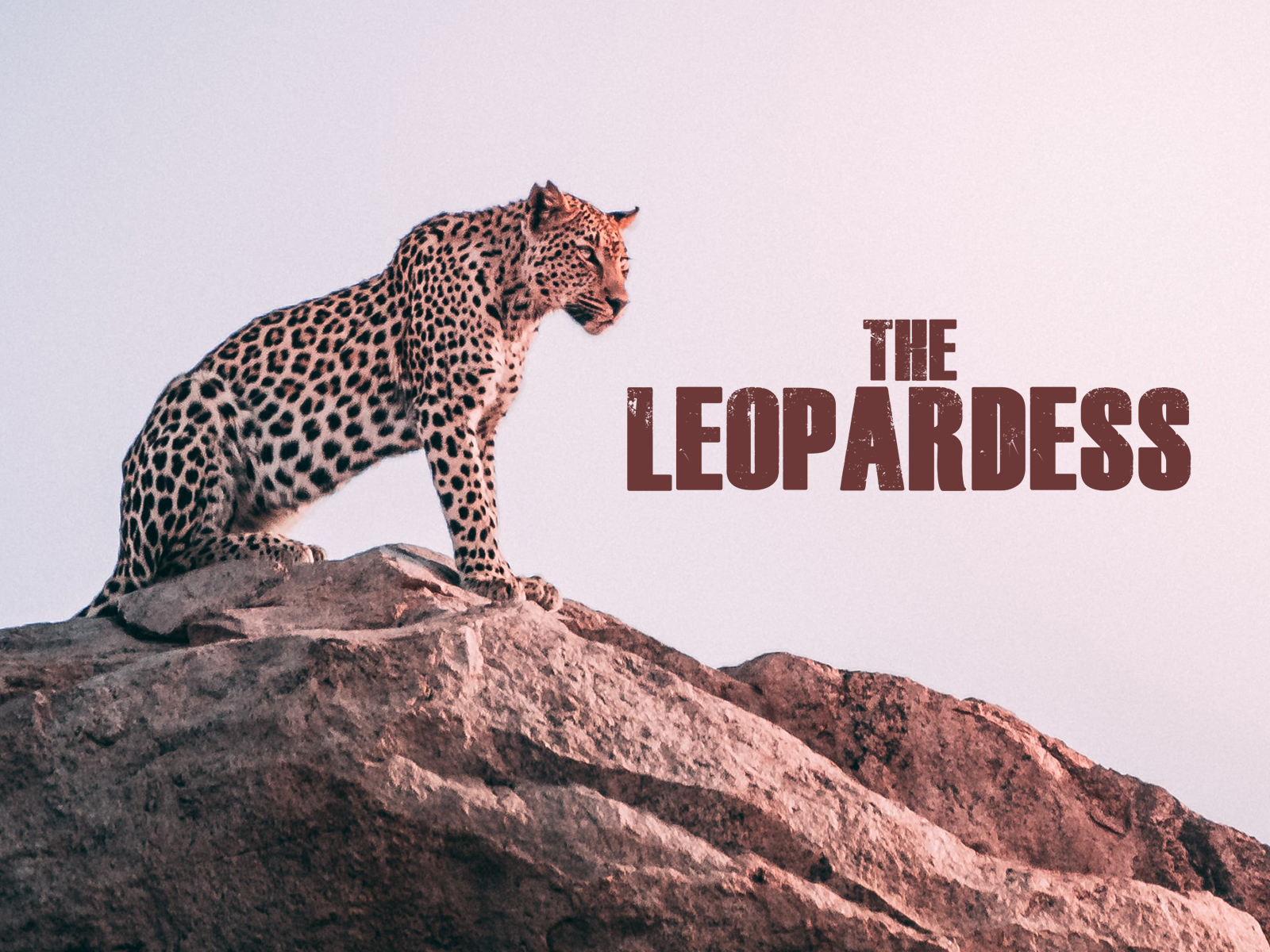 Prime Video: The Leopardess - Season 1
