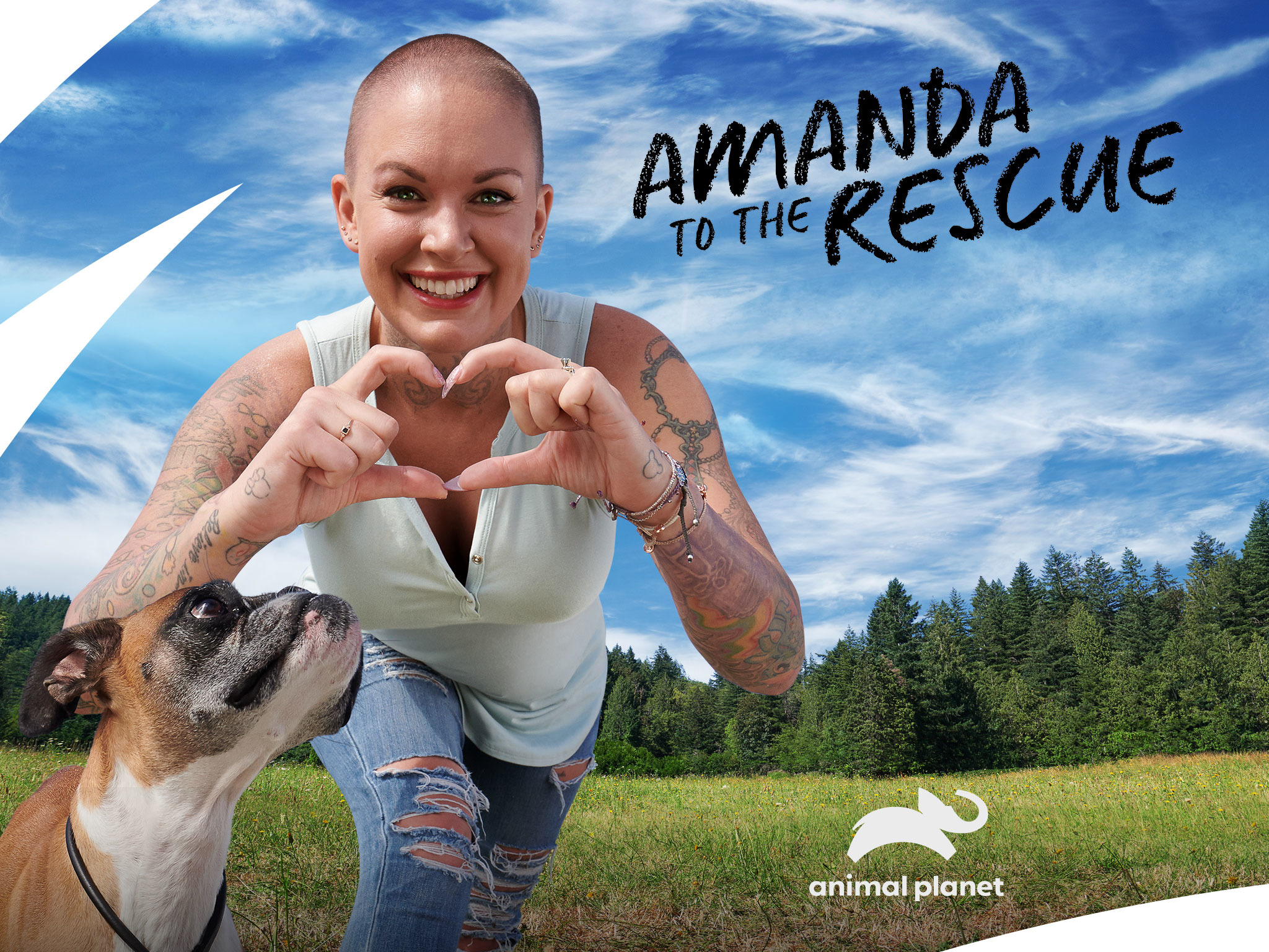 Prime Video: Amanda to The Rescue Season 1