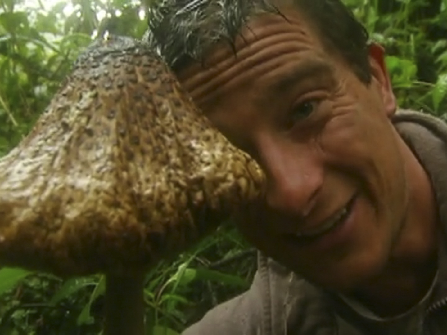 Prime Video: Man vs. Wild - Season 1