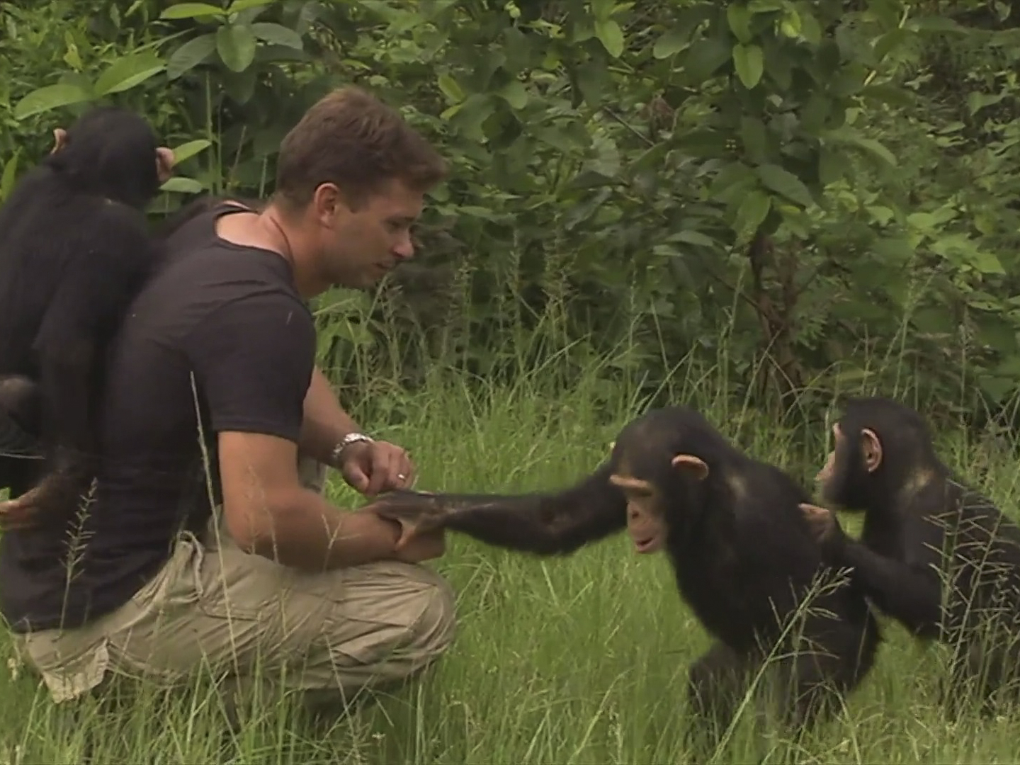 Prime Video: Escape to Chimp Eden - Season 2
