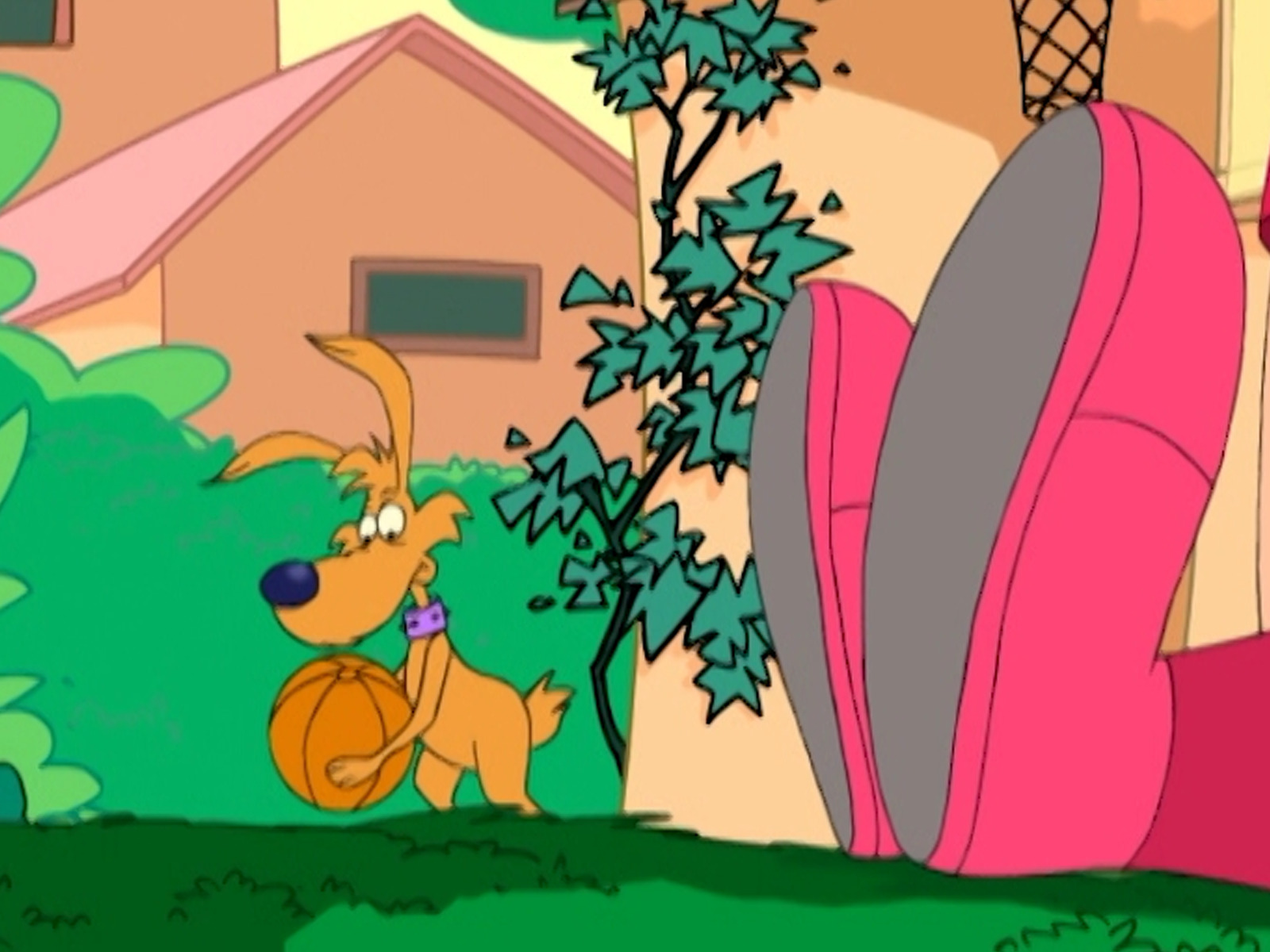 Prime Video: Norman Normal