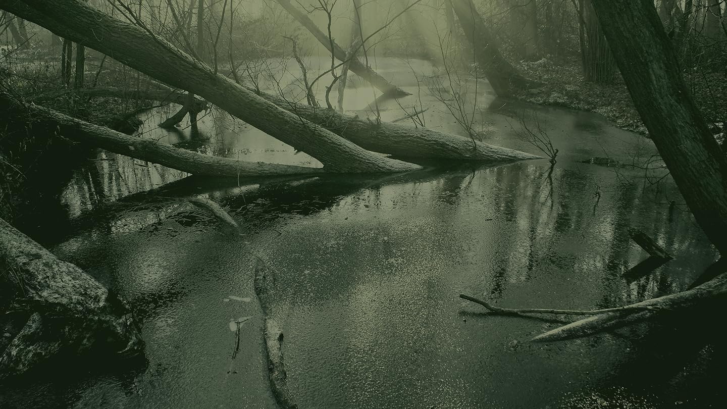 Watch Swamp Wars - Season 1 | Prime Video