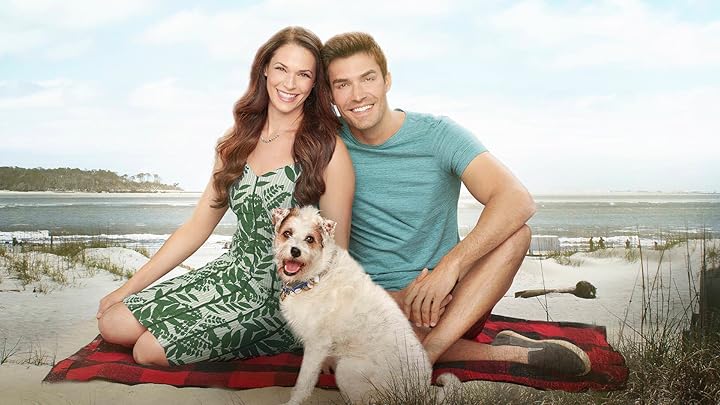 Amazon.com: Love at the Shore : Amanda Righetti, Peter Porte, Nicole Baxter, Laura Grant, Steven ...