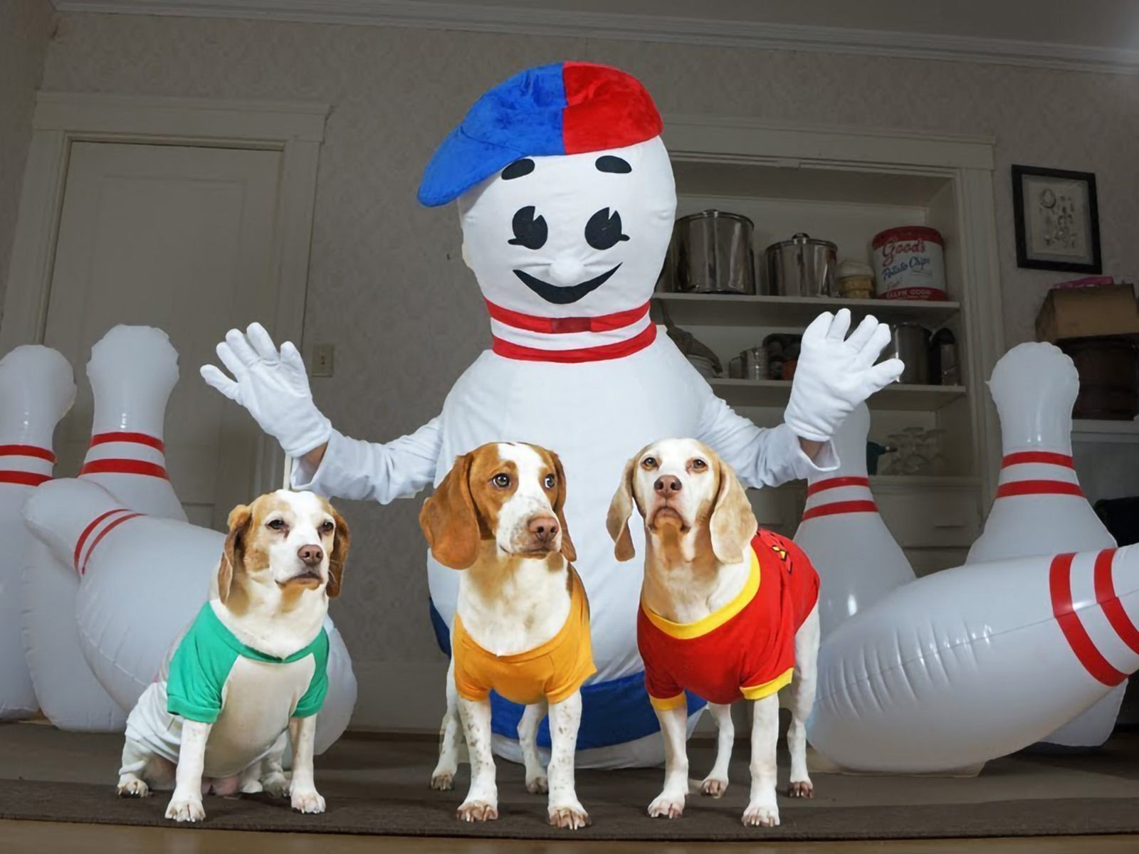 Prime Video: Maymo Gets Pranked