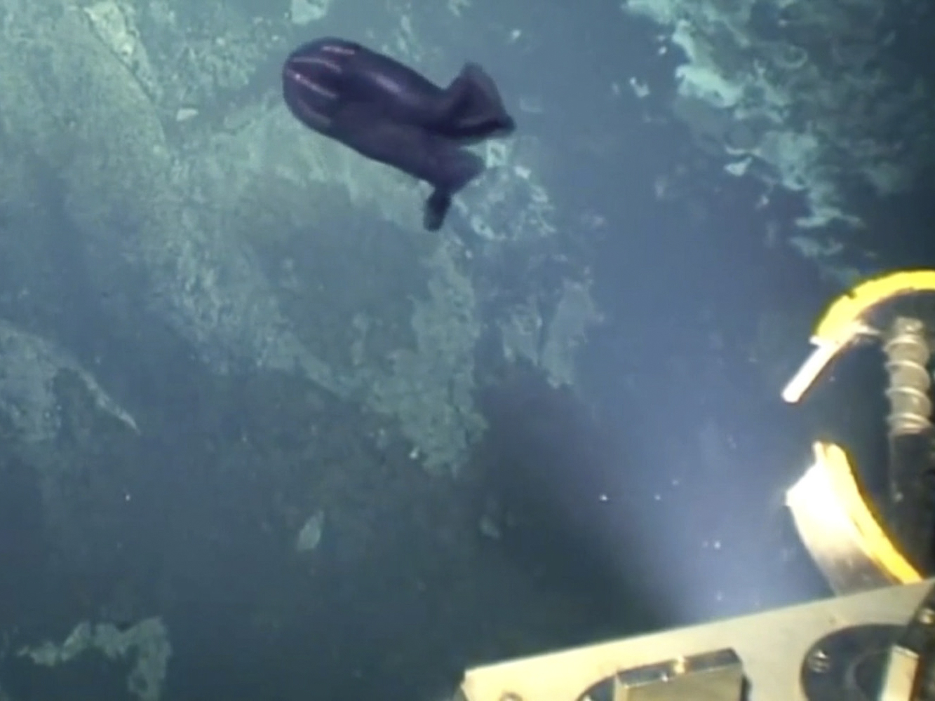 Prime Video: Strange Evidence - Season 3