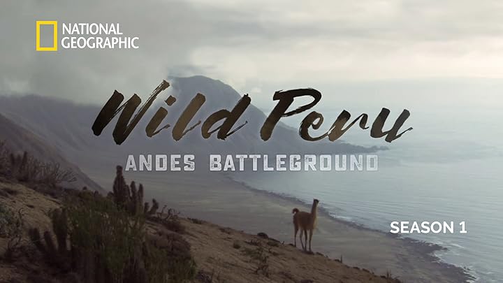 Prime Video: Wild Peru: Andes Battleground - Season 1