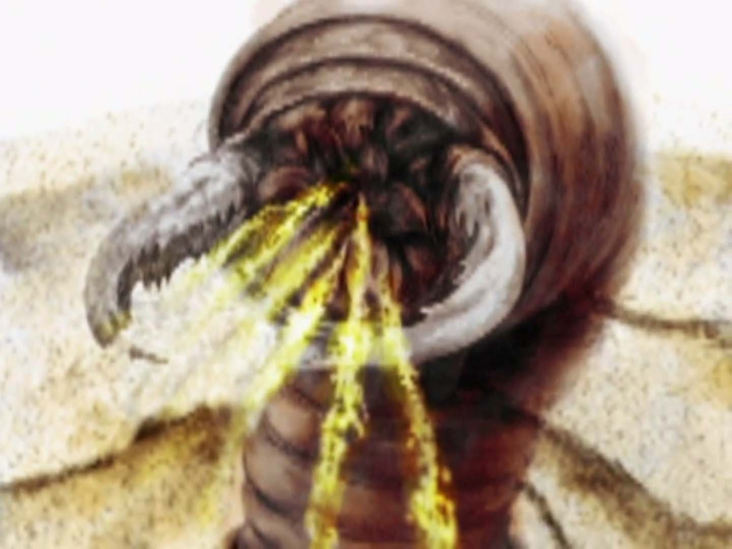 Prime Video: Lost Tapes - Season 1