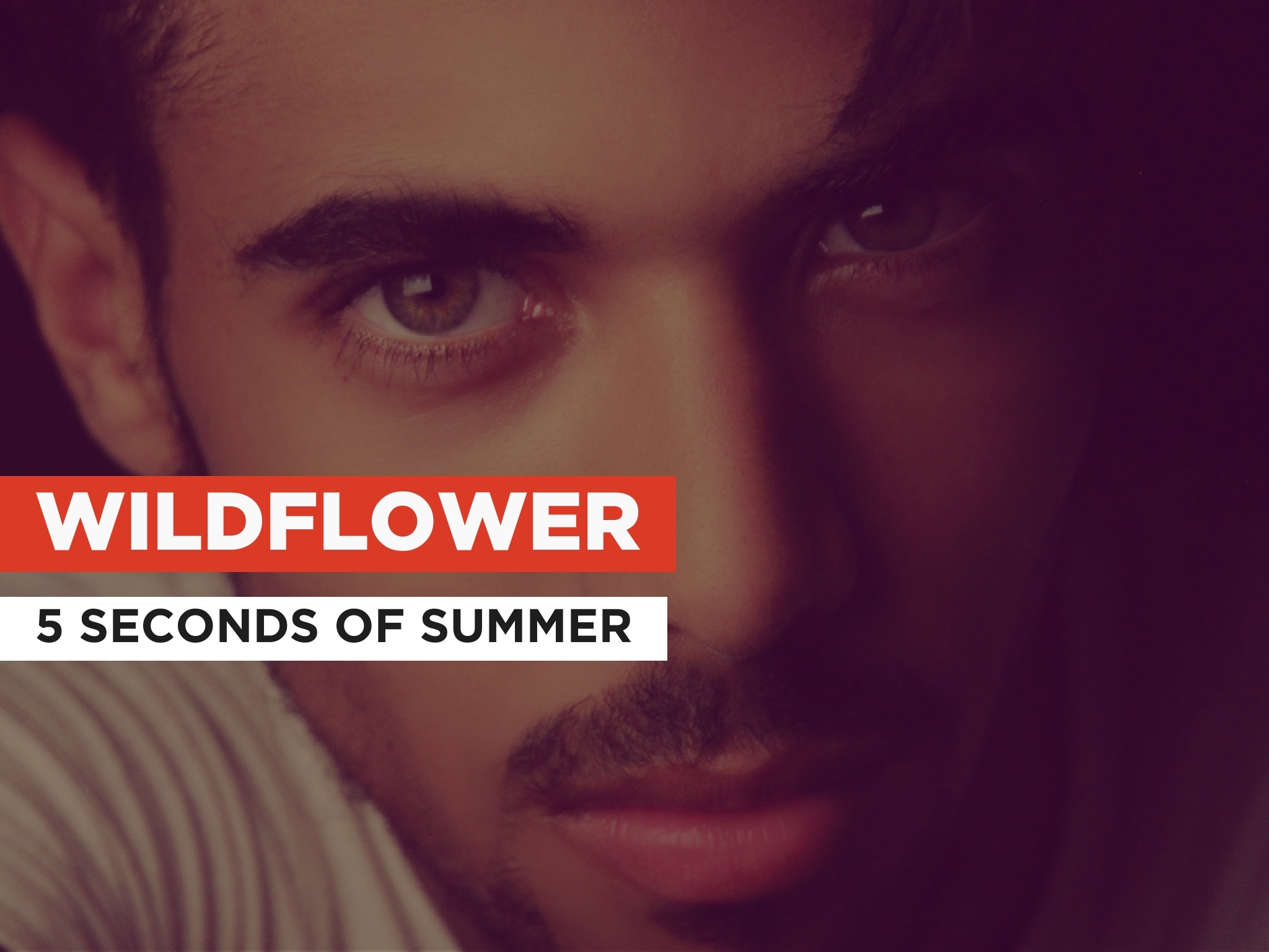 Prime Video: Wildflower in the Style of 5 Seconds Of Summer