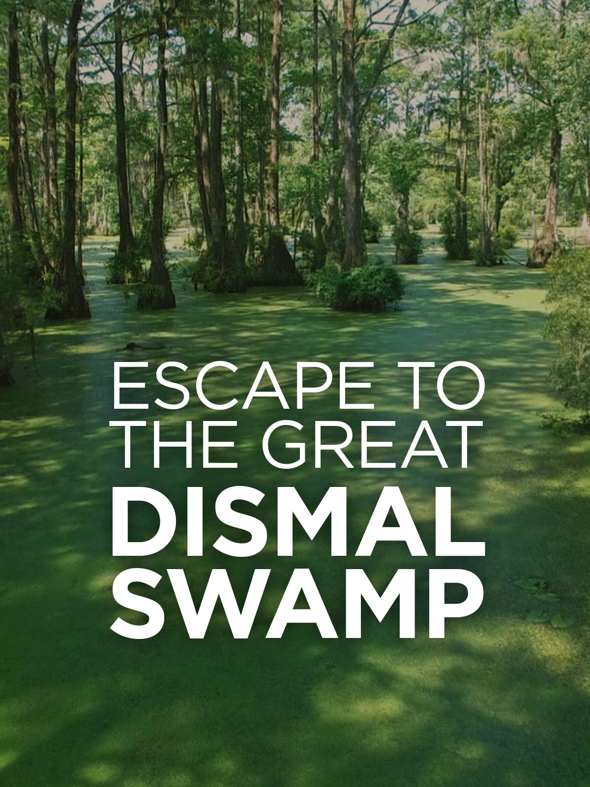 Prime Video: Escape to the Great Dismal Swamp