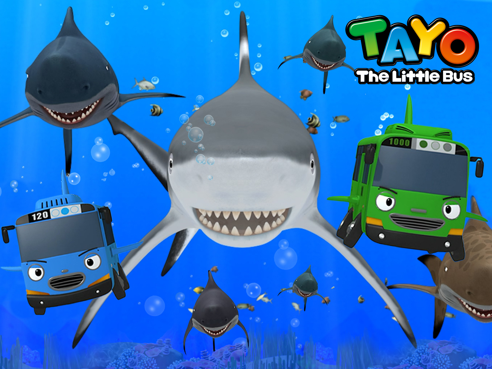 Prime Video: Tayo Shark Songs