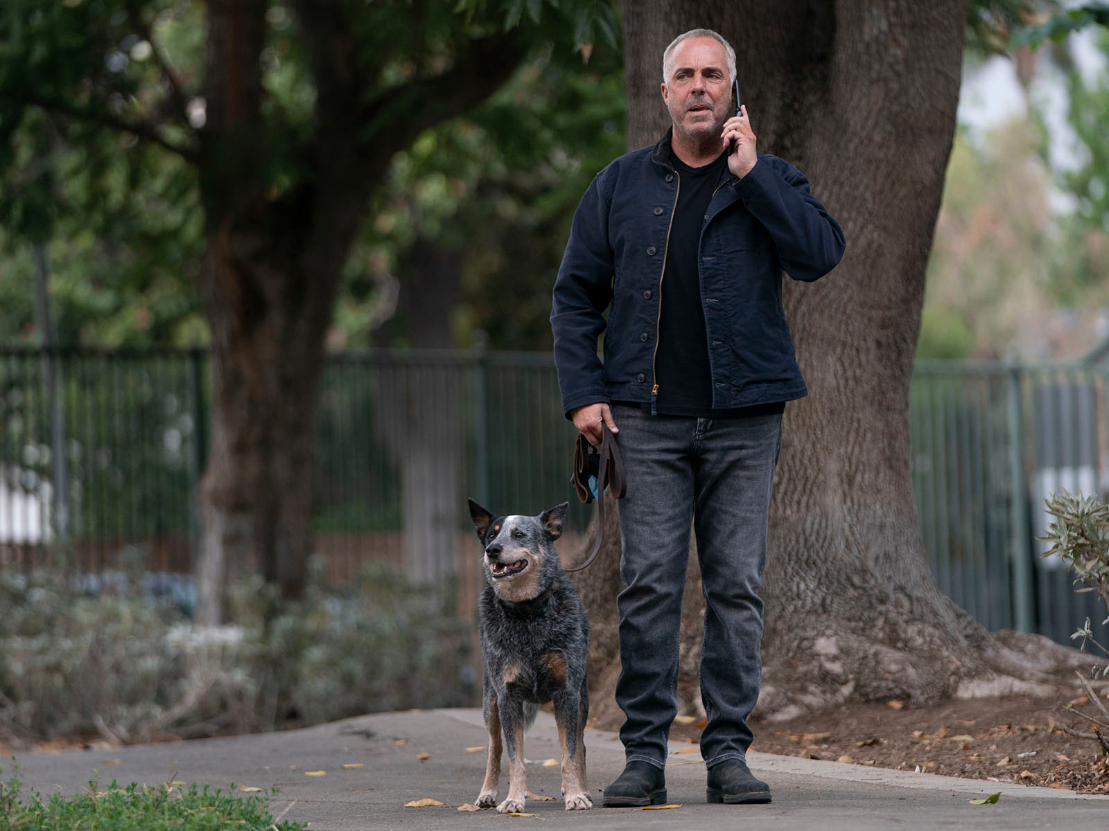 Prime Video: Bosch: Legacy - Season 1