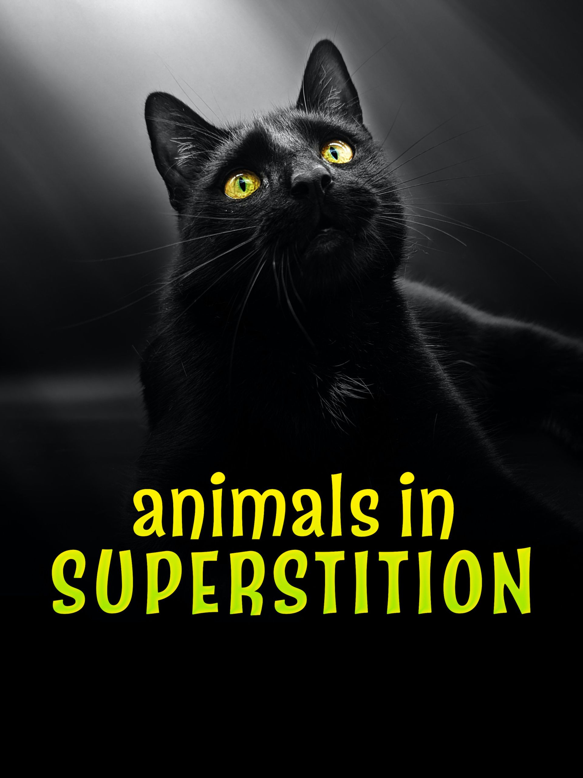 Prime Video: Animals in Superstition