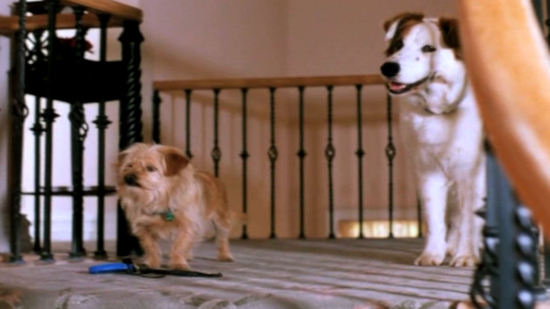 Watch Little Heroes | Prime Video