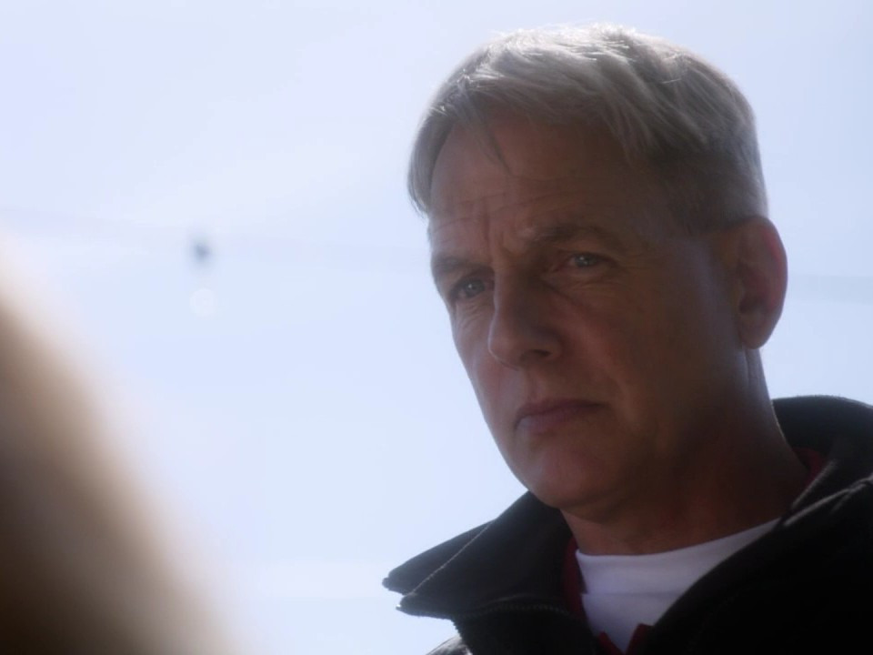 Prime Video: NCIS - Season 7