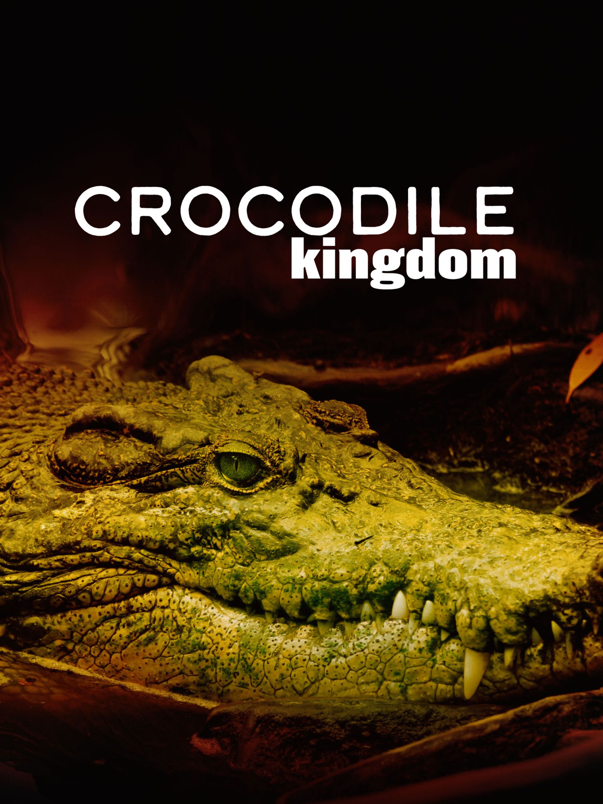 Prime Video: Crocodile Kingdom