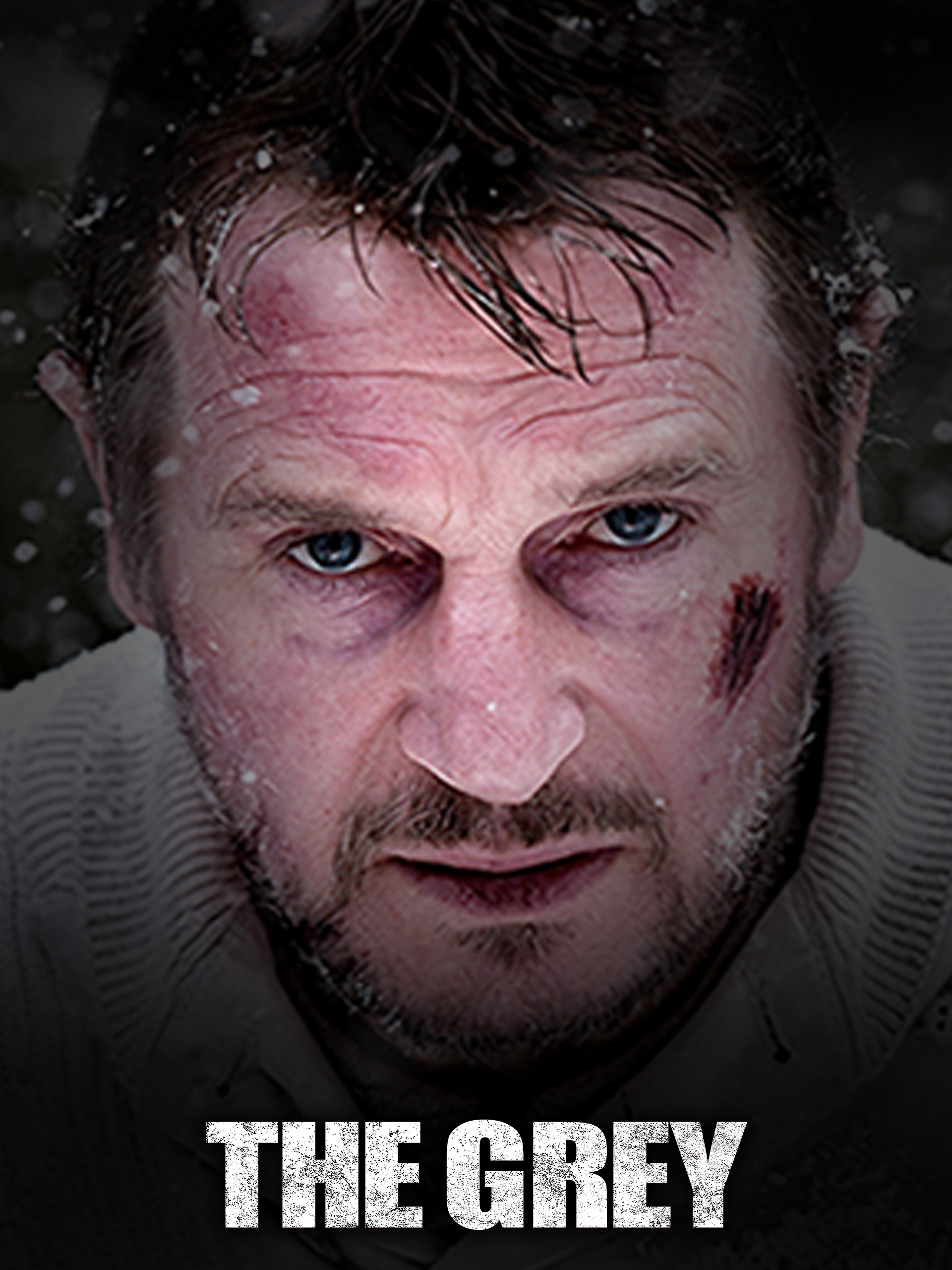 Prime Video: The Grey