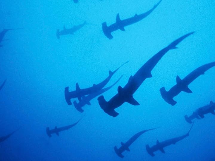 Prime Video: Blue Planet: Seas of Life - Season 1