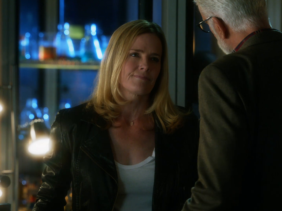 Prime Video: CSI: Crime Scene Investigation - Season 15