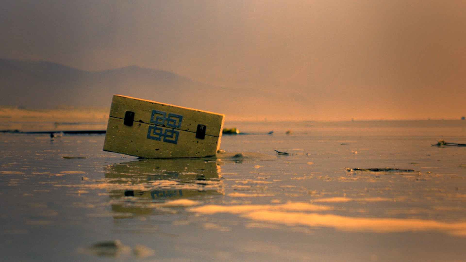 Watch Cache | Prime Video