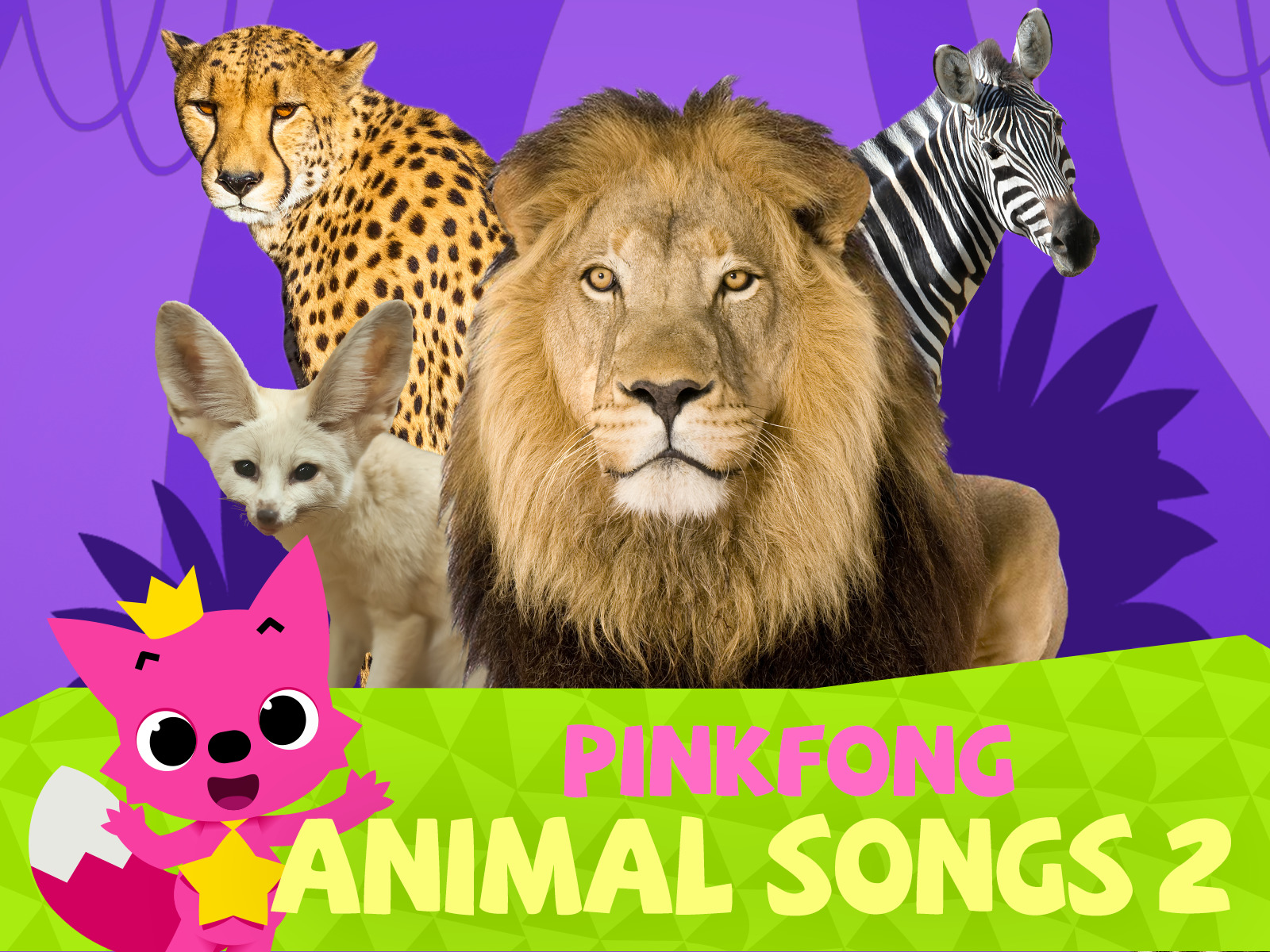 Prime Video: Pinkfong! Baby Shark & More Animal Songs