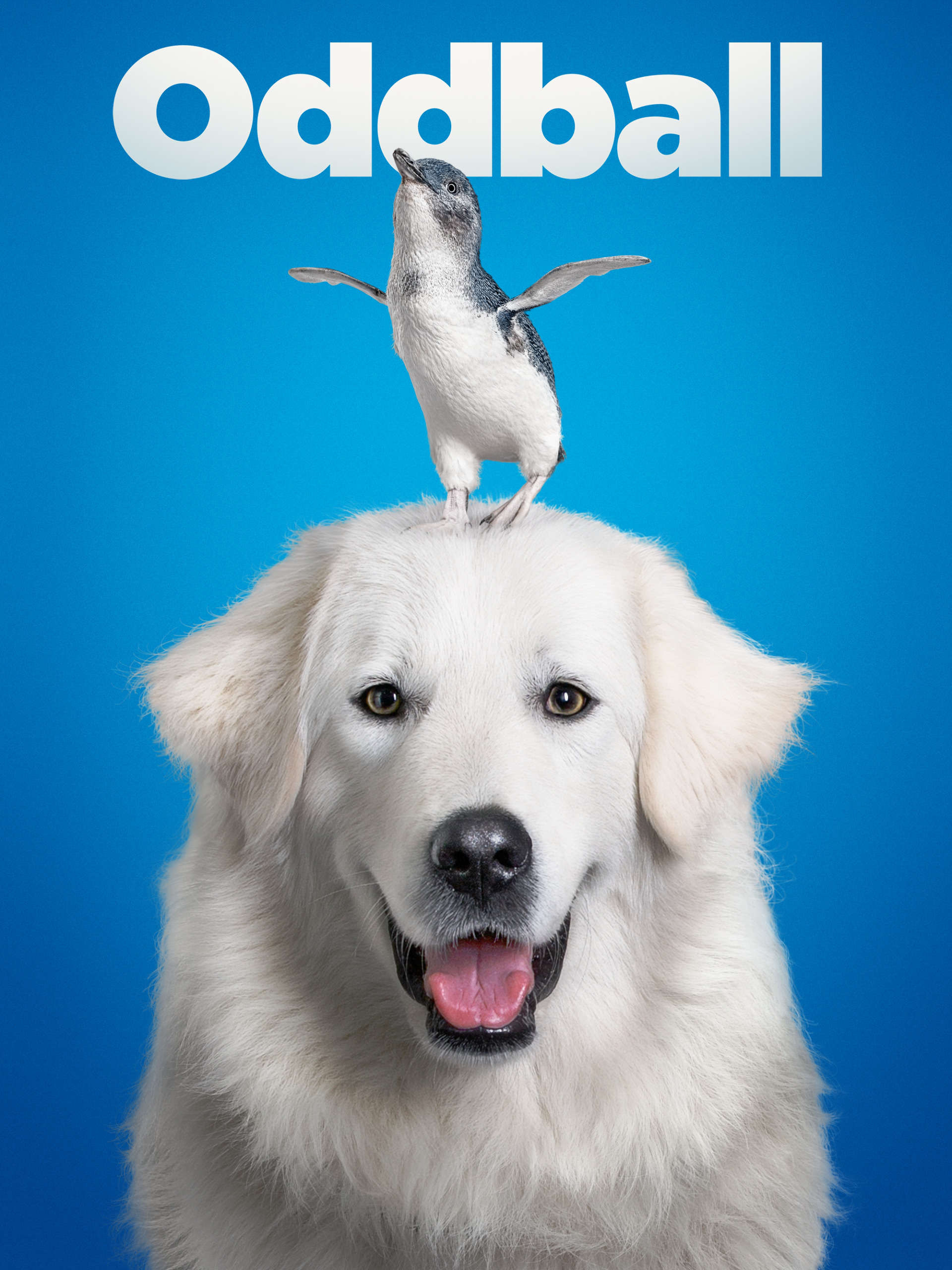 Prime Video: Oddball