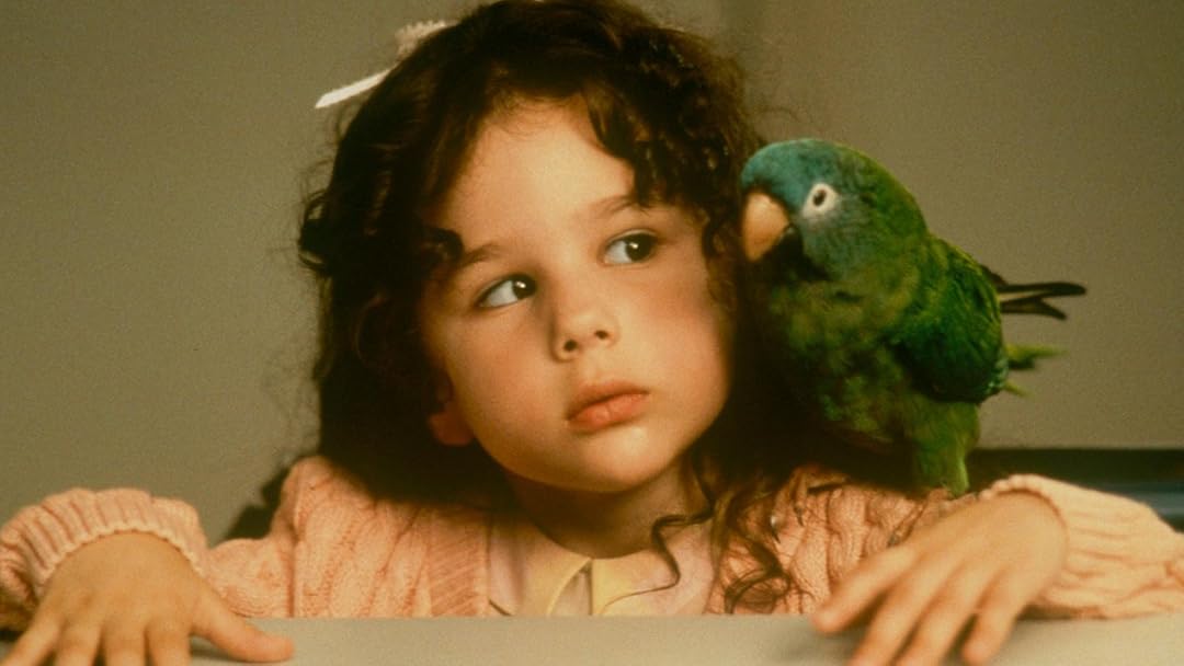 Watch Paulie | Prime Video