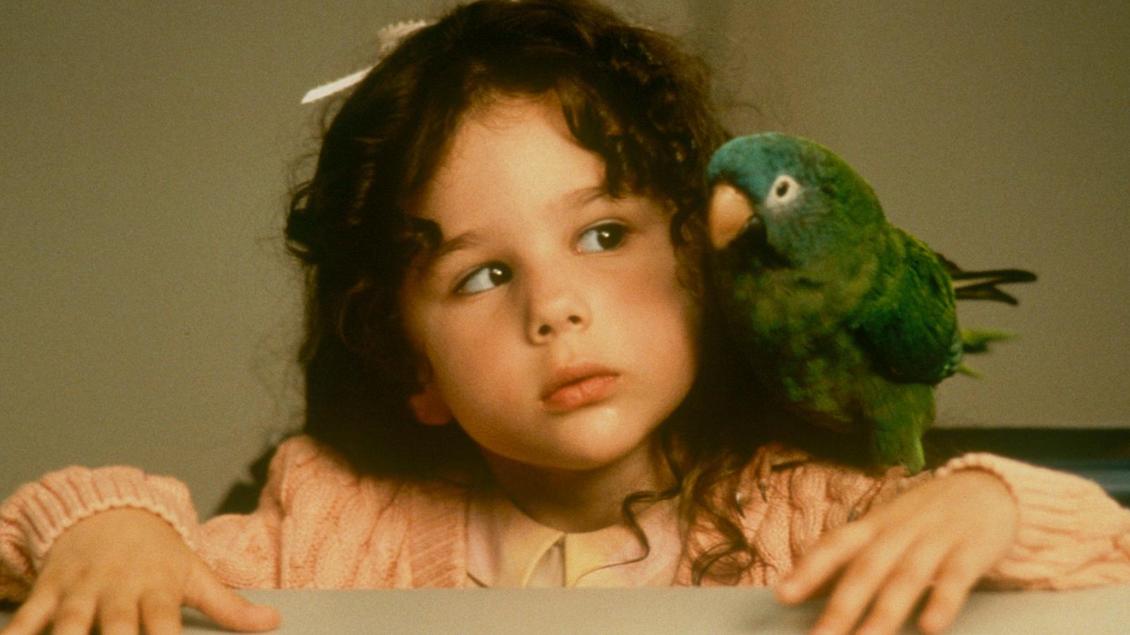 Watch Paulie | Prime Video