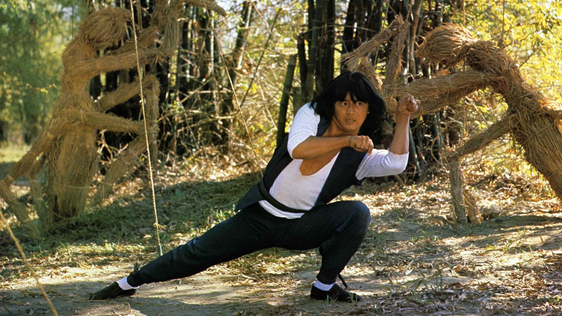 Prime Video: 7 Commandments Of Kung Fu