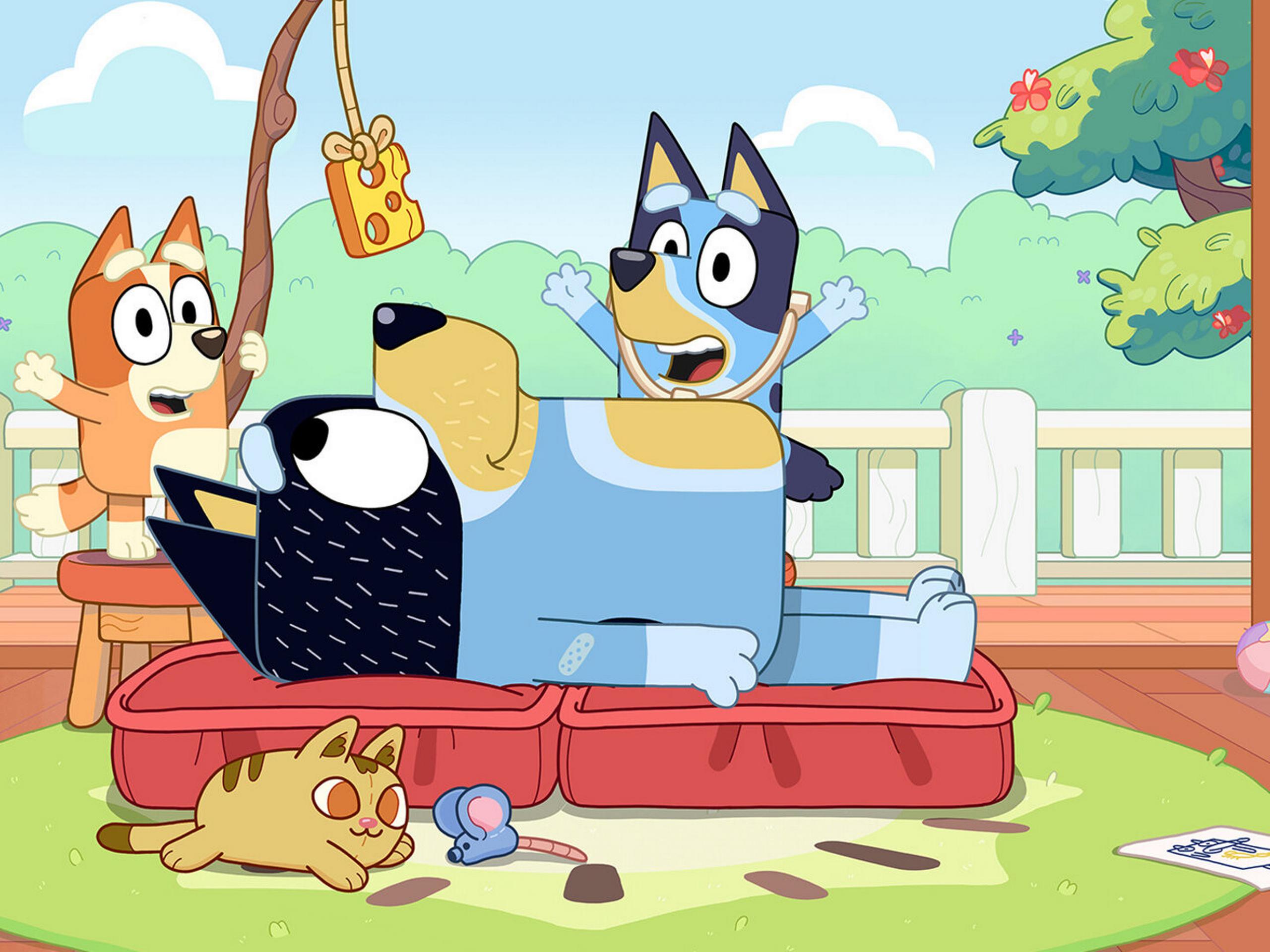 Prime Video: Bluey - Saison 1