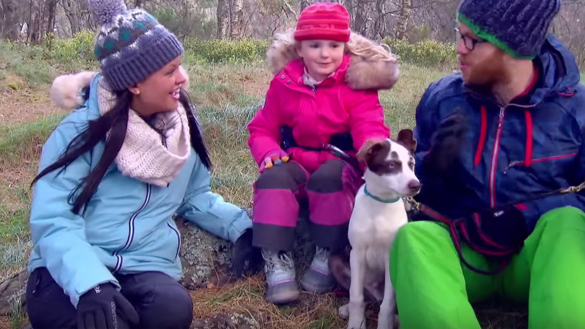 Prime Video: My Pet & Me: Winter Special 2015: Huskies