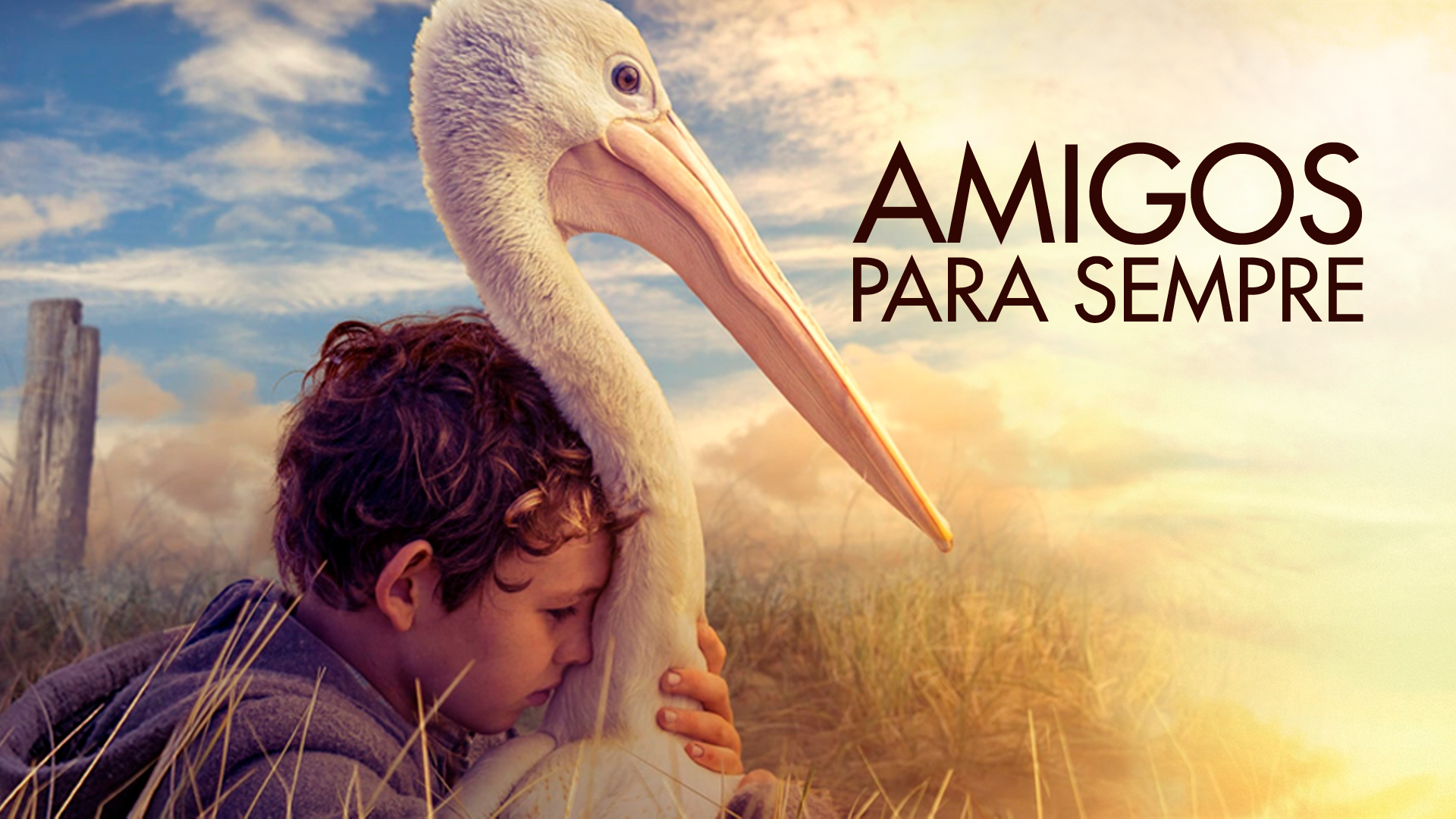 Prime Video: Amigos Para Sempre