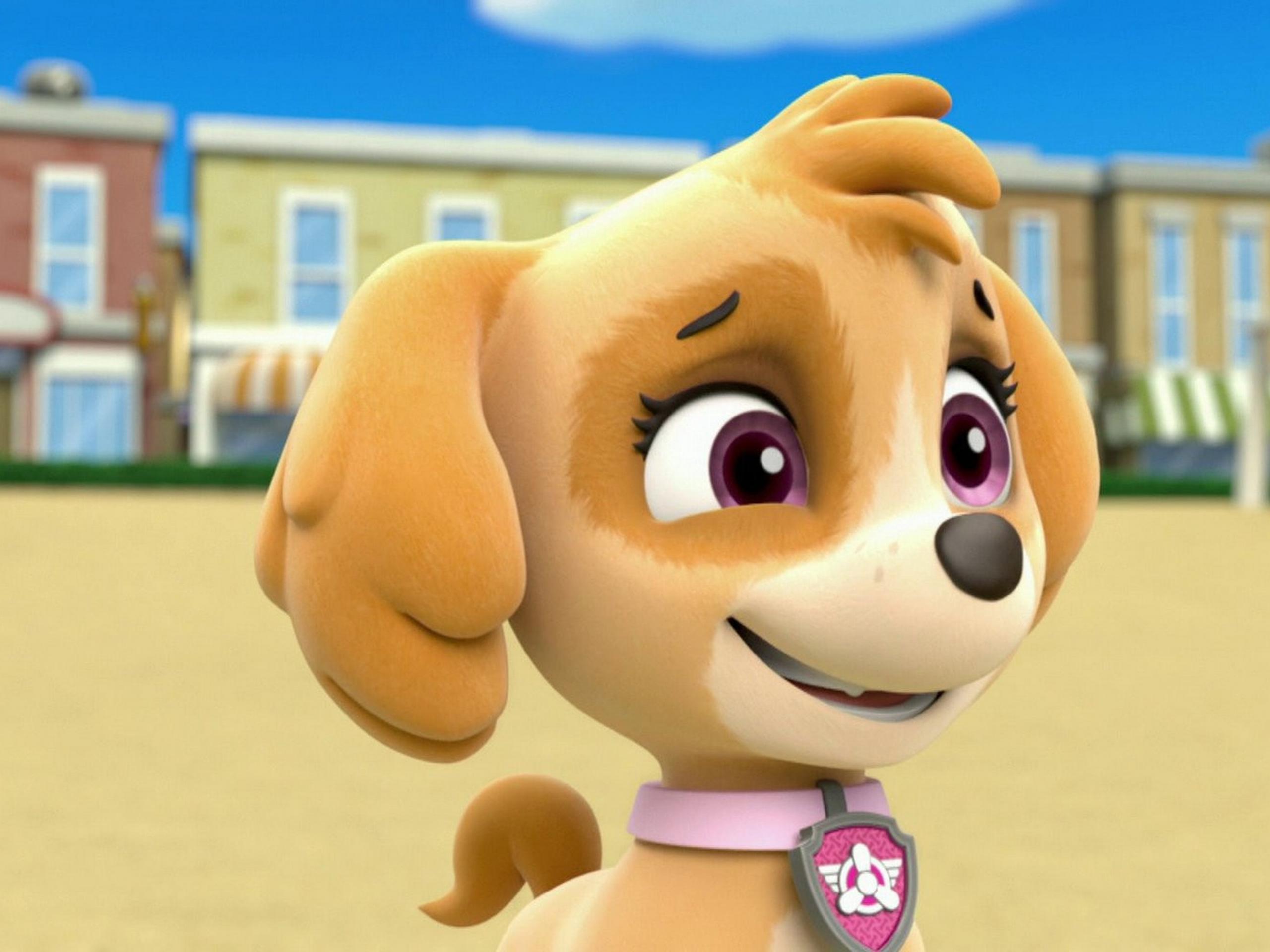 Prime Video: Paw Patrol, la Pat'Patrouille - Saison 1