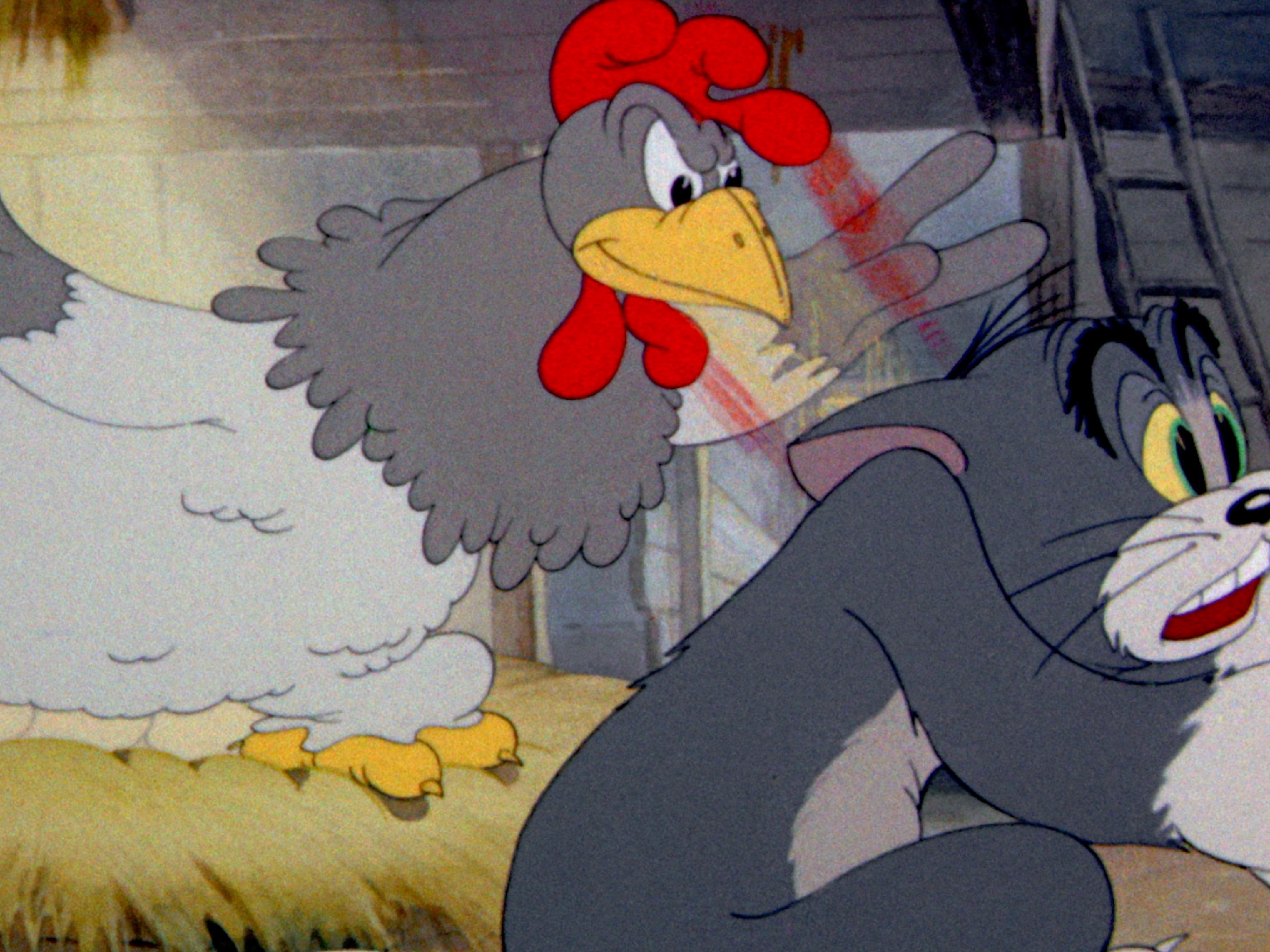 Prime Video: Tom and Jerry - Season 2