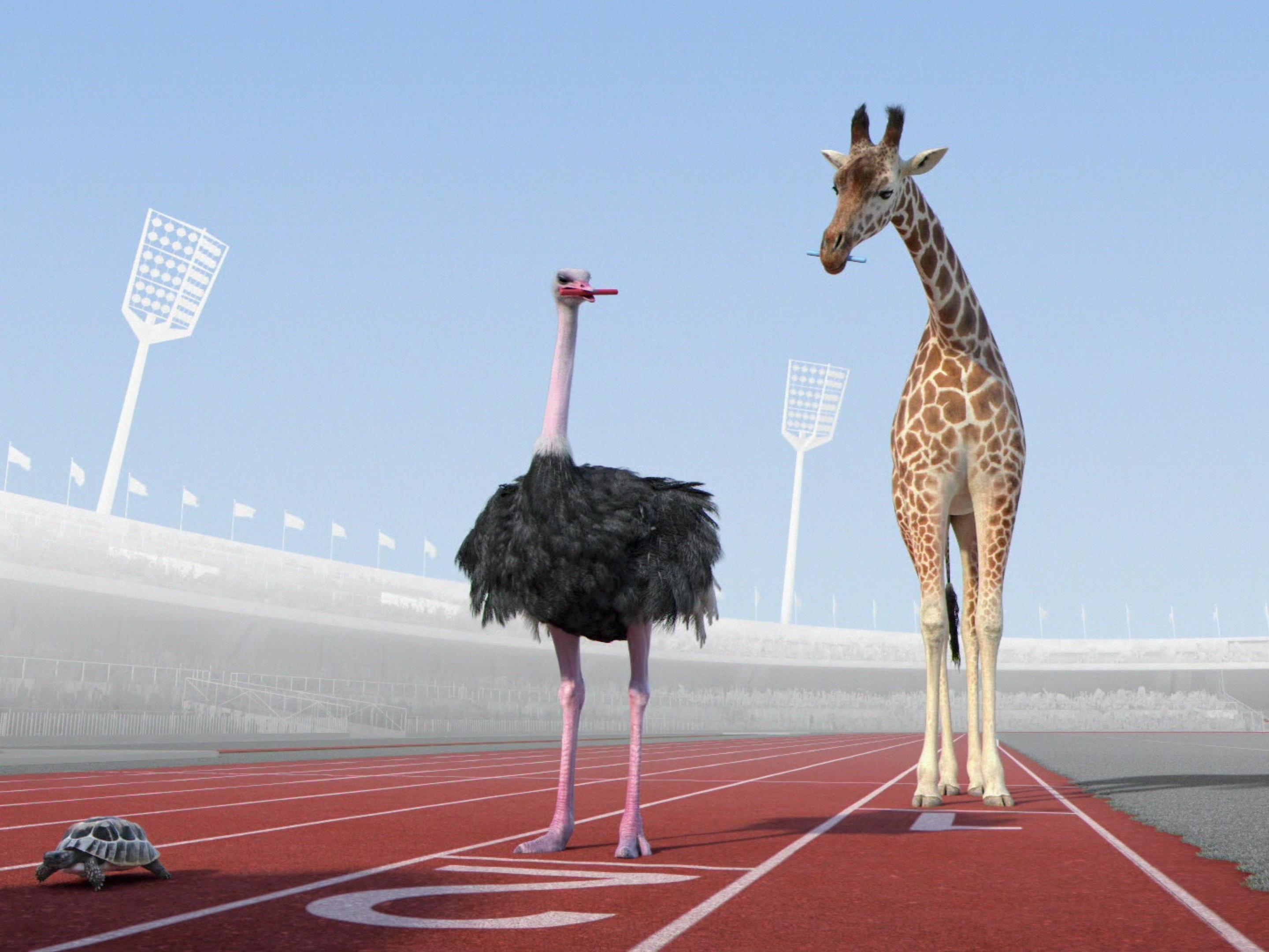 Prime Video: Athleticus Season 1