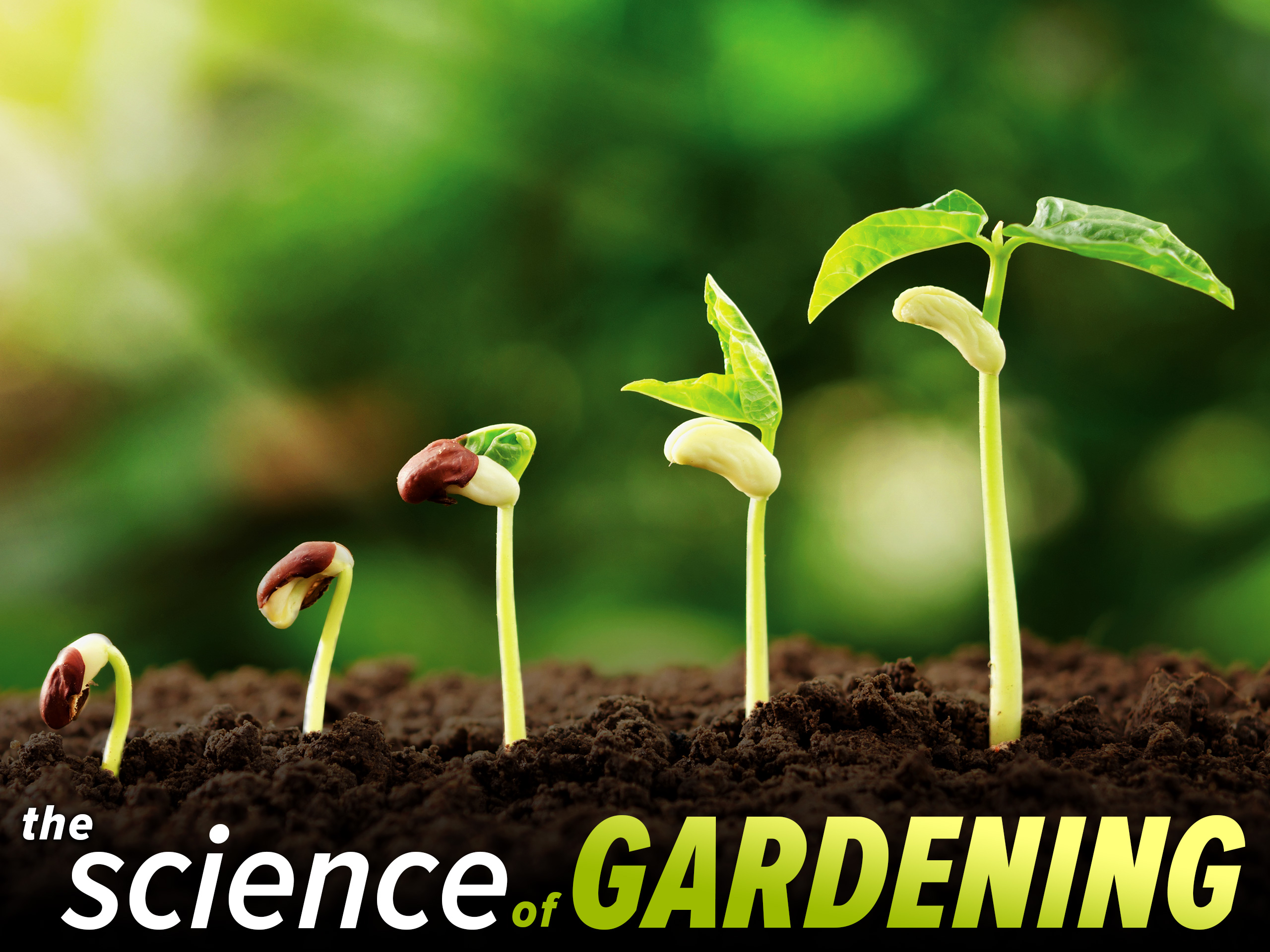 Prime Video: The Science of Gardening