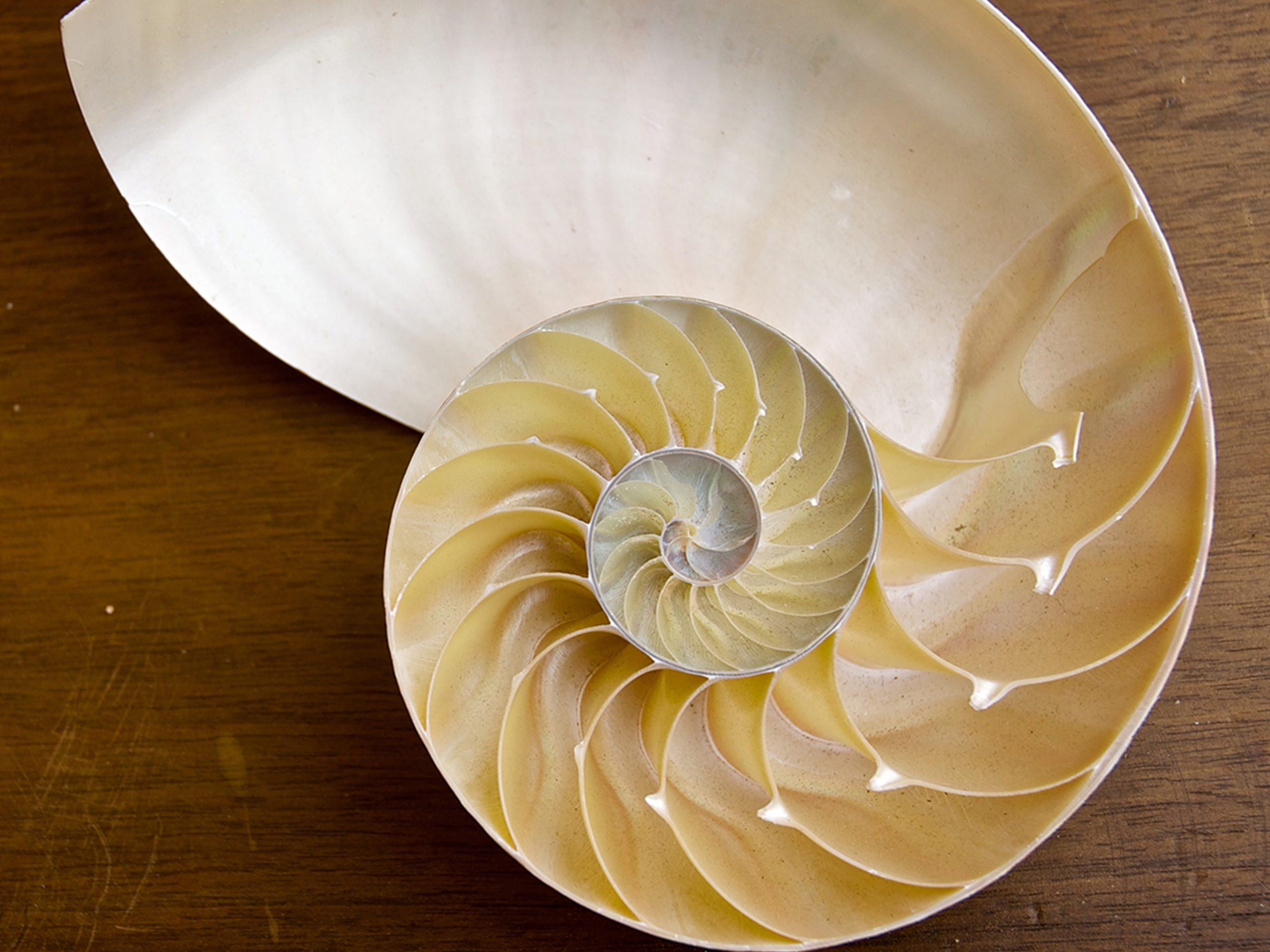 Prime Video: The Power of Mathematical Visualization