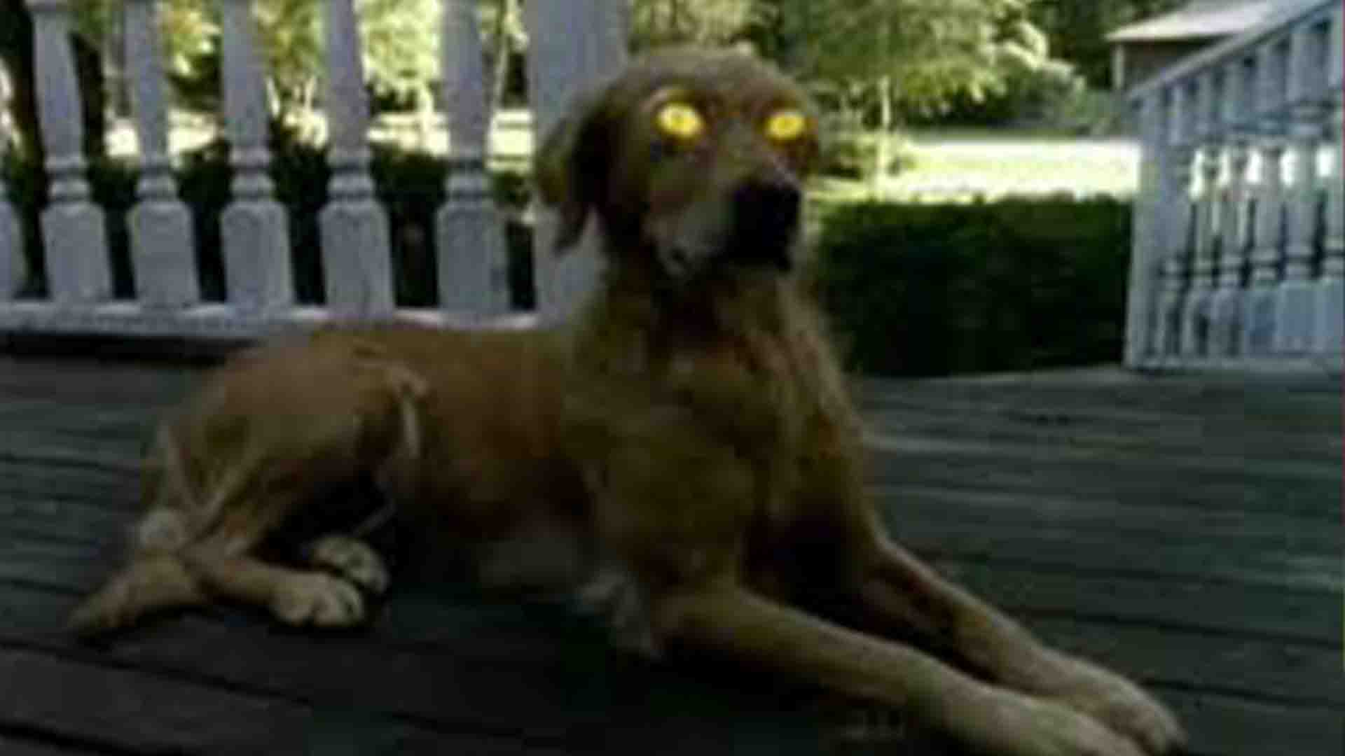 Prime Video: Goosebumps: The Haunted Mask, Part 1