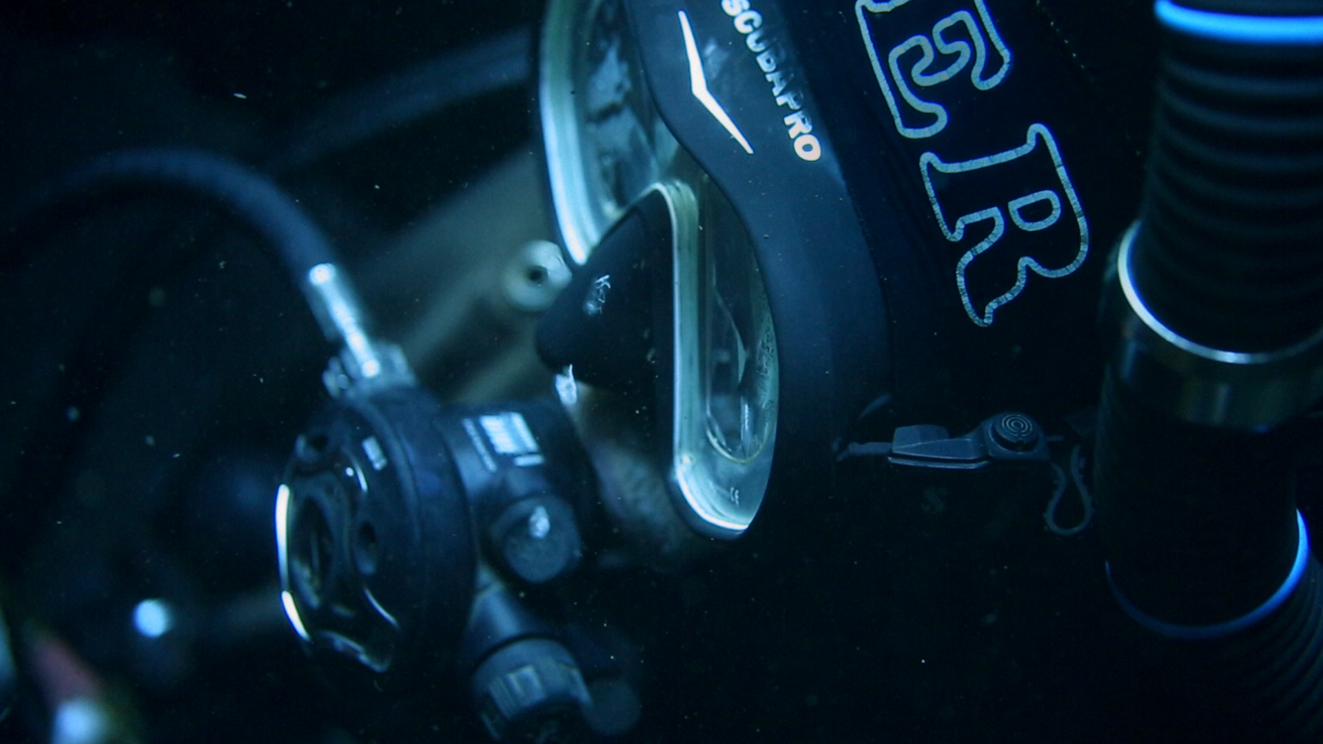 Watch Dave Not Coming Back | Prime Video