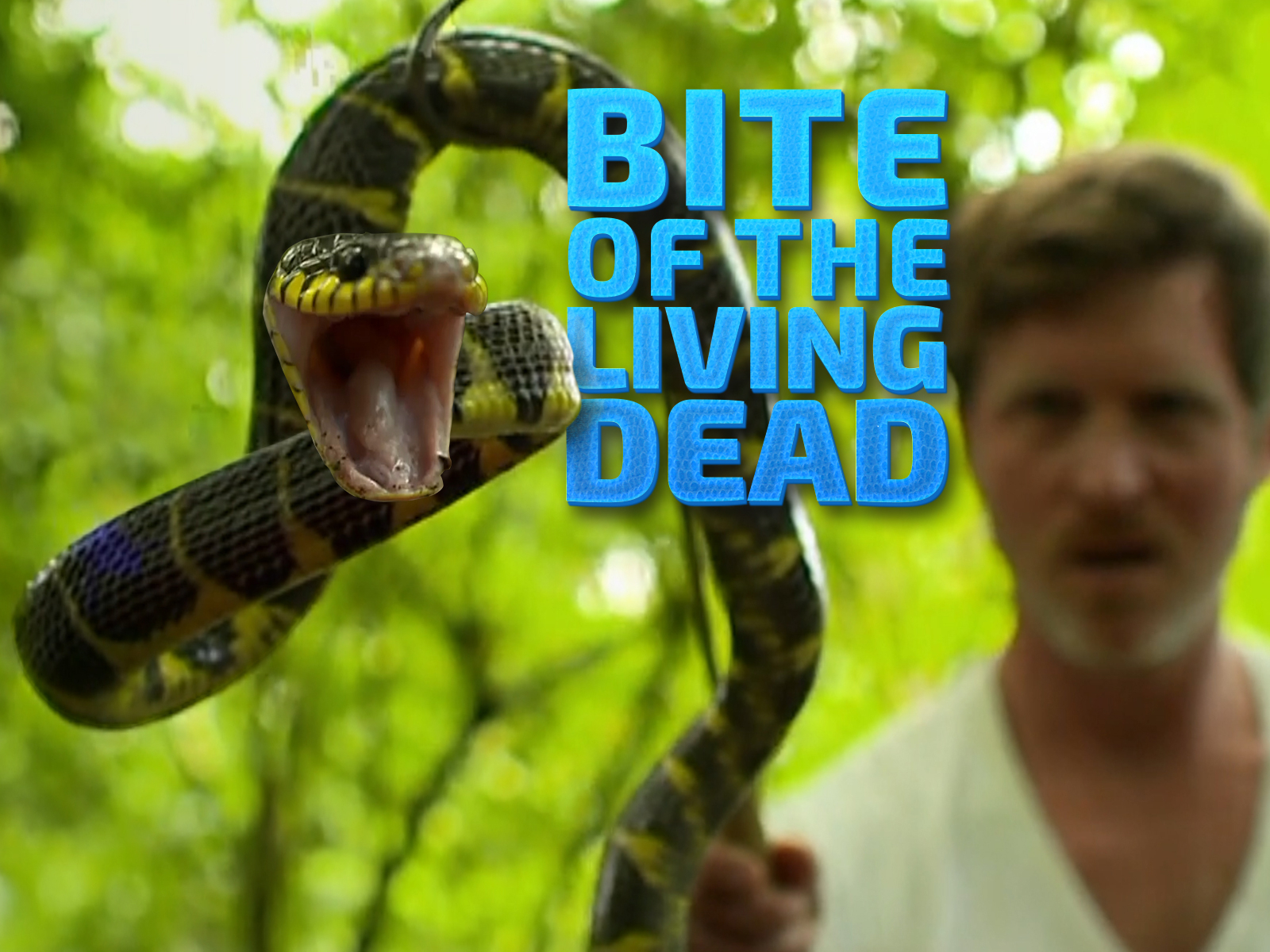 Prime Video: Bite Of The Living Dead - Season 1