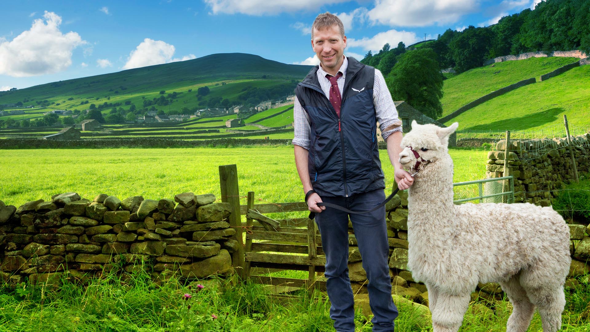 Prime Video: The Yorkshire Vet