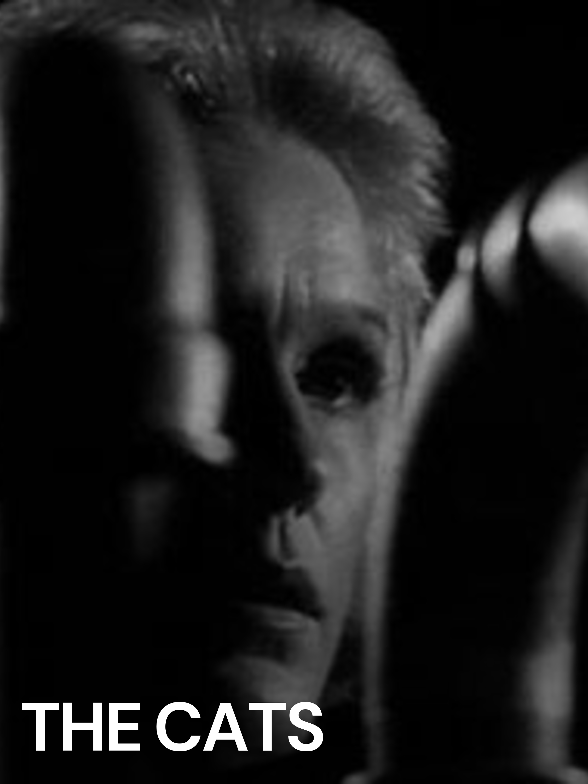 Prime Video: The Cats