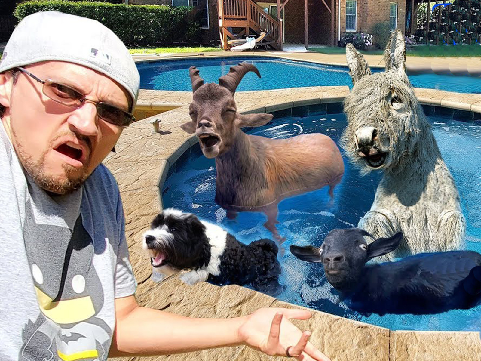 Prime Video: FUNnel Vision: Vlogs