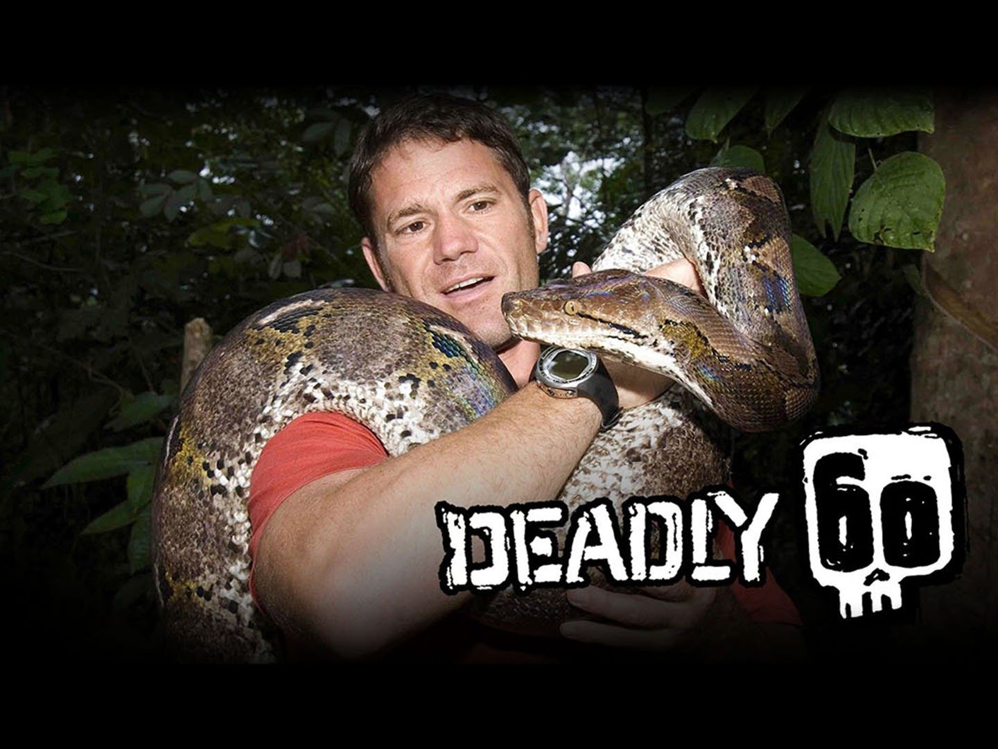 Prime Video: Deadly 60