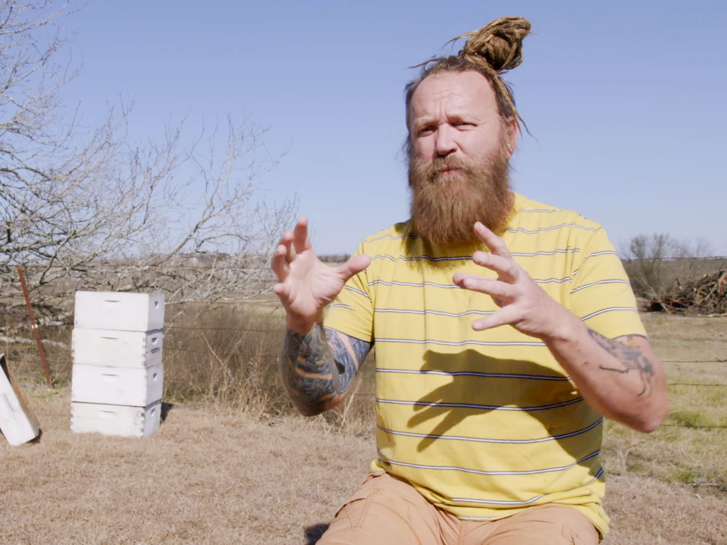 Prime Video: Bee Czar - Season 1