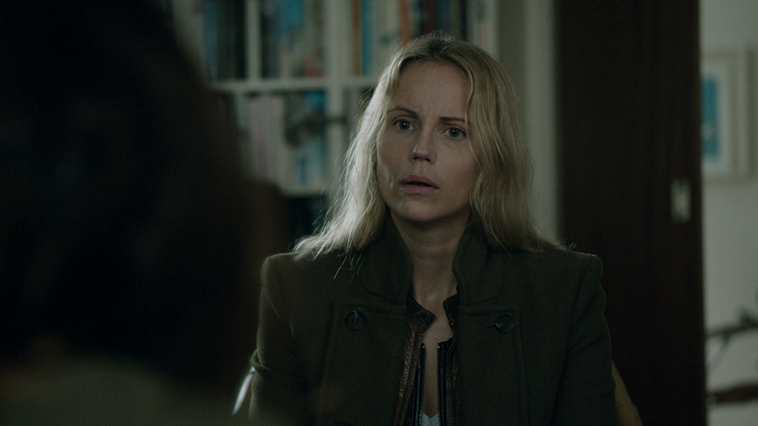 Prime Video: The Bridge (English subtitled)
