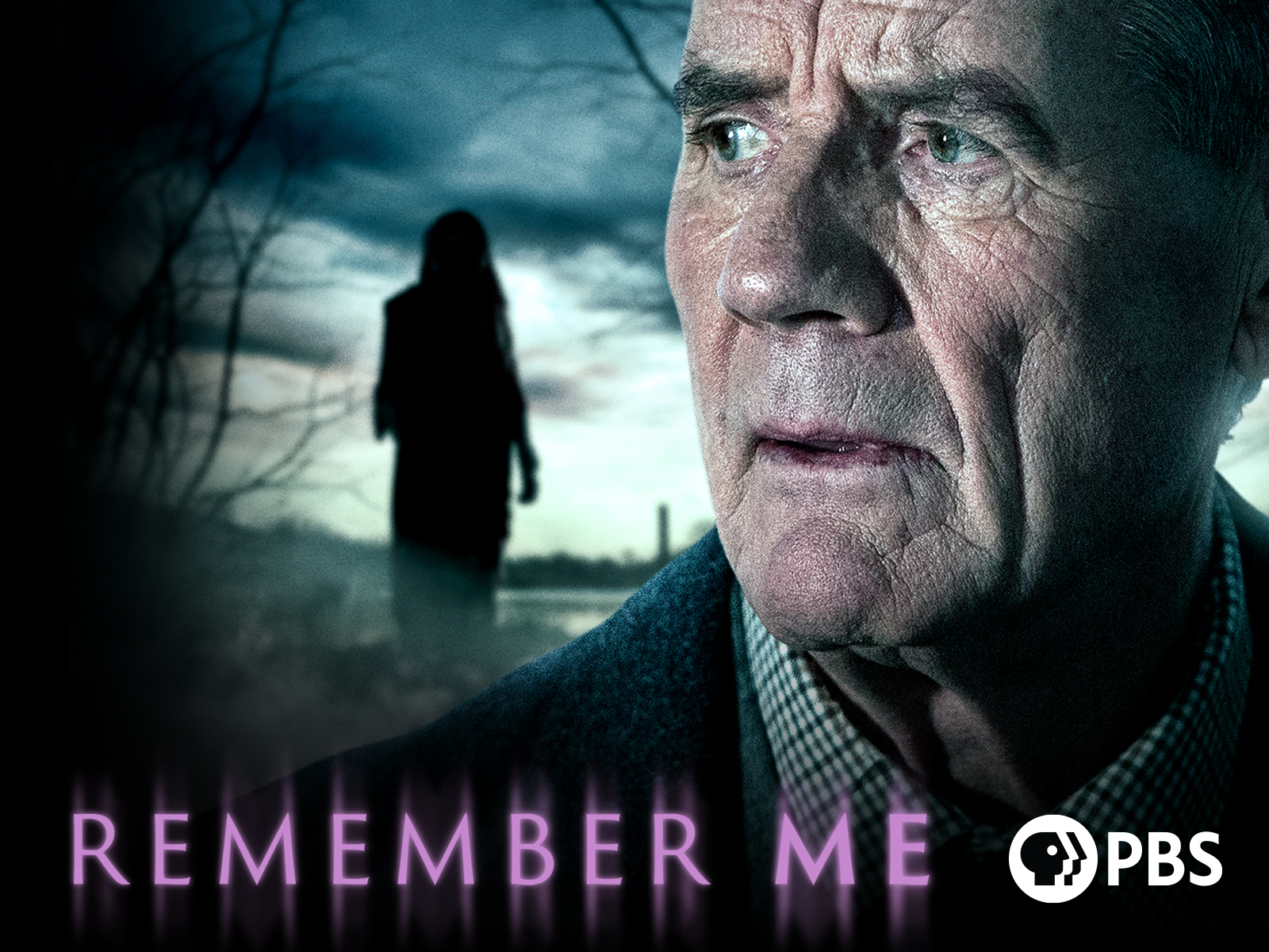 Prime Video: Remember Me, Season 1
