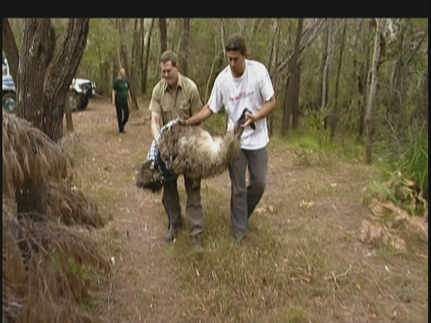 Prime Video: Crocodile Hunter Diaries - Season 3