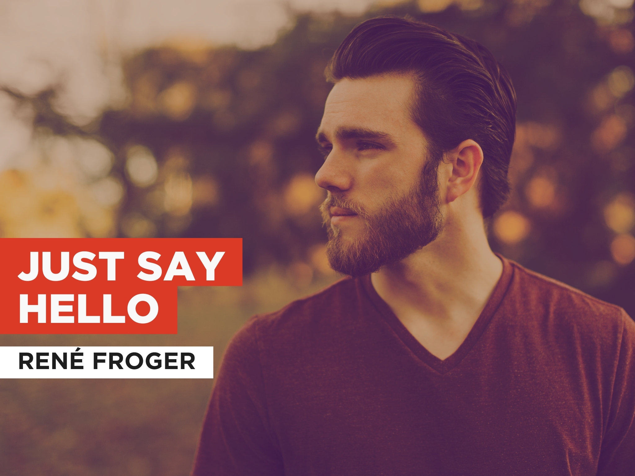 Prime Video: Just Say Hello in the Style of René Froger