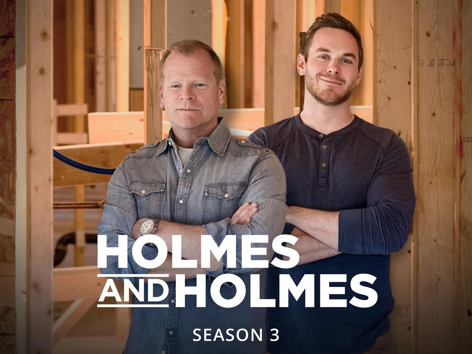 Prime Video: Holmes and Holmes - Season 3